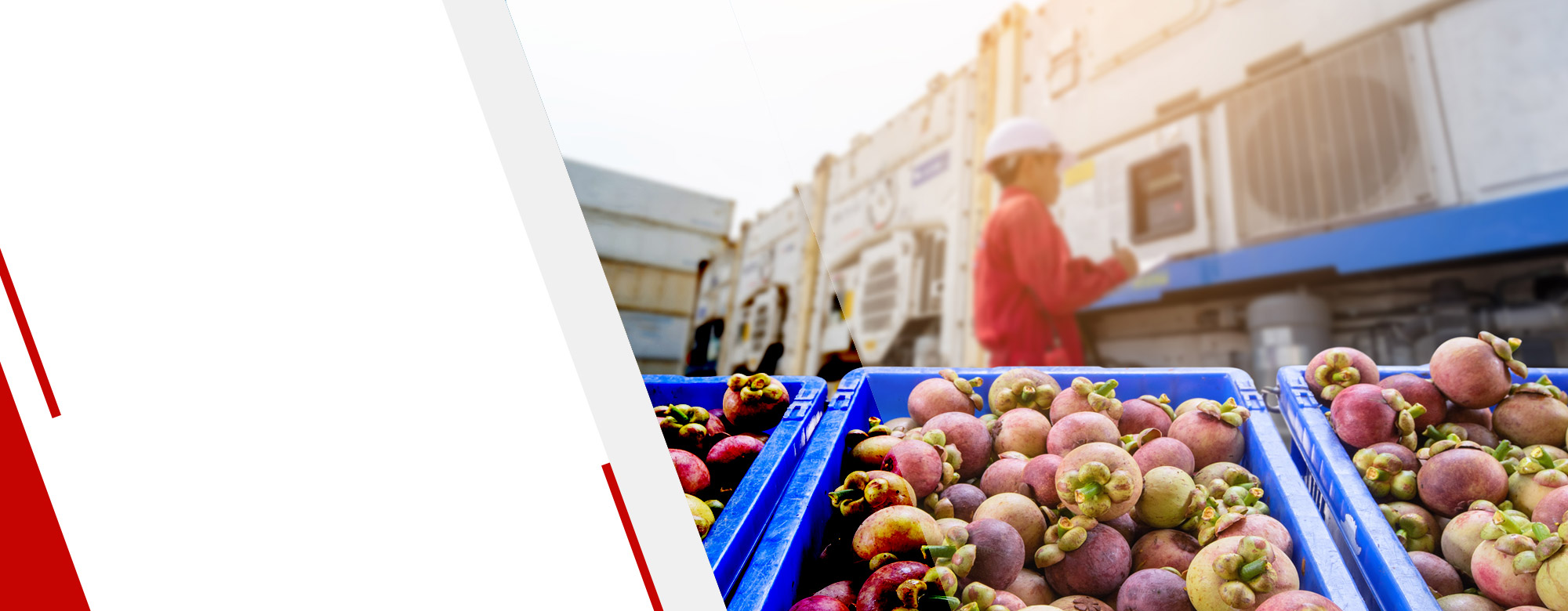 Cosmoship Forwarding & Logistics Ltd Limassol, Cyprus, Sea & Air Freight